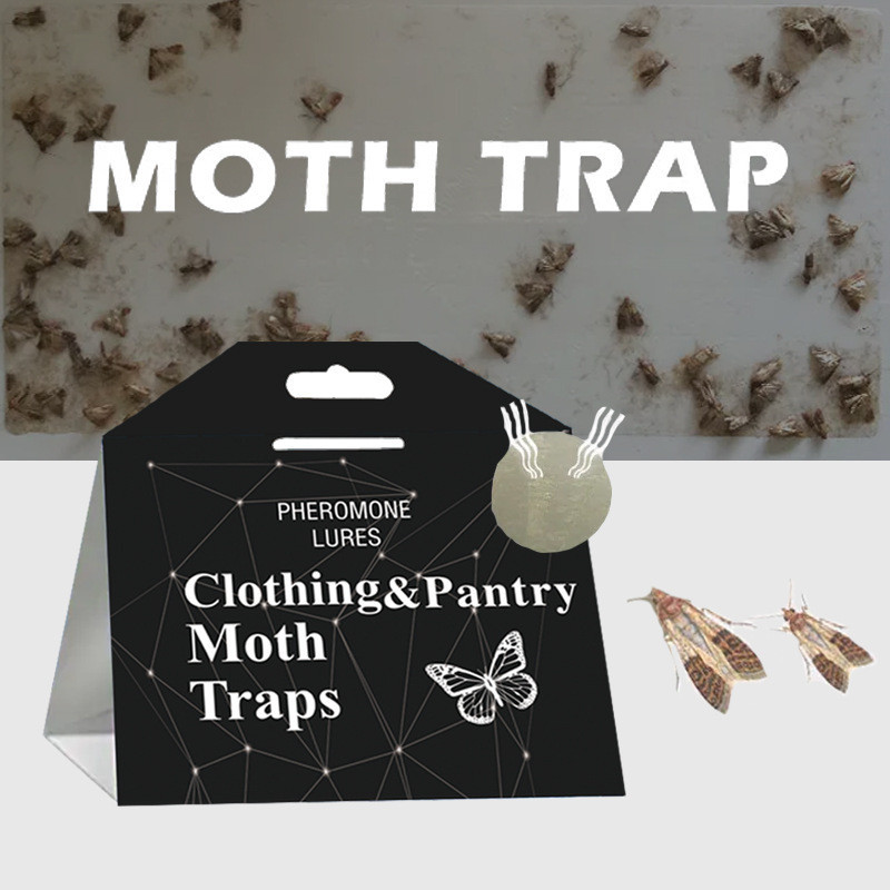 🔥Hot item🔥5 PCS Cloth Moth DIY Trap 1 Packs [Indian Meal Moth ...