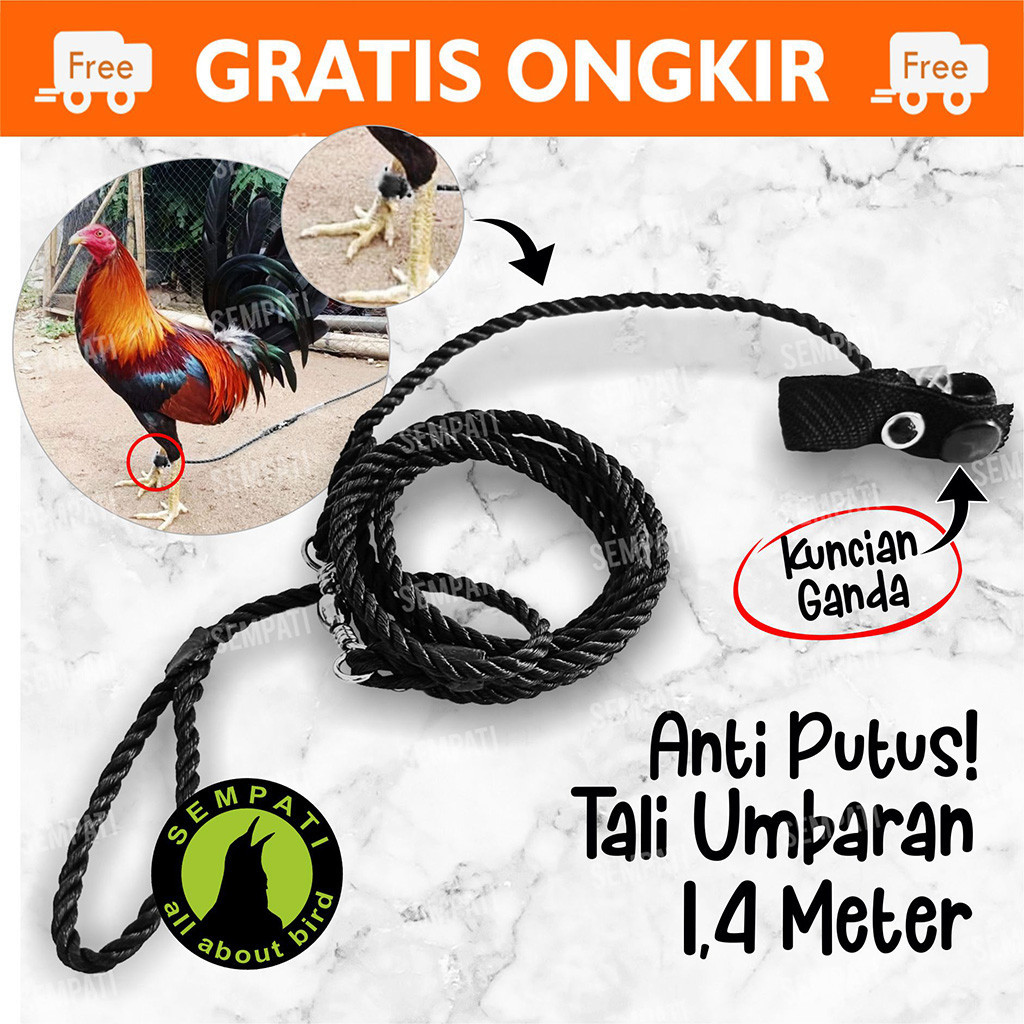 Chicken Leg Rope Tambating Rope Umbaran Rooster Leg Bangkok Male ...