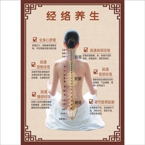Spine Physiotherapy Chinese Medicine Health Center Benefits of Back ...