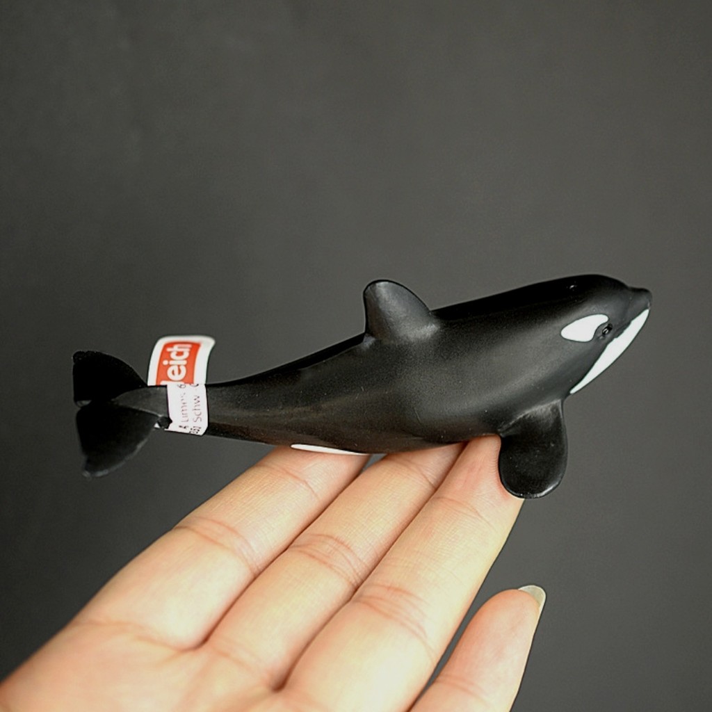 German Sile Little Killer Whale Killer Whale Baby 14836 Whale ...