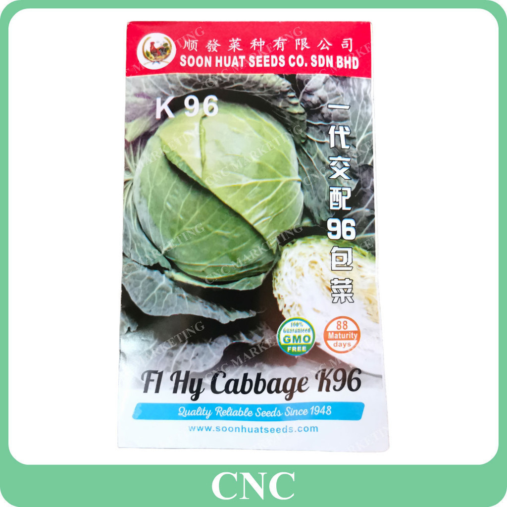 20G F1 Hybrid Cabbage K96 Seeds Soon Huat Biji Benih Kubis Kobis 顺发 包菜 ...
