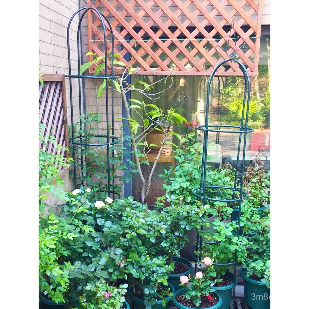 Balkoni Besi Seni Bunga Stand Memanjat Rangka Rose Clematis Lajur ...