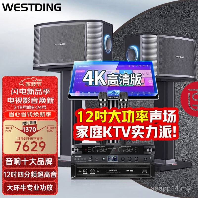 Westine Family KTV Audio Set Karaoke Machine Integrated Singing Full ...