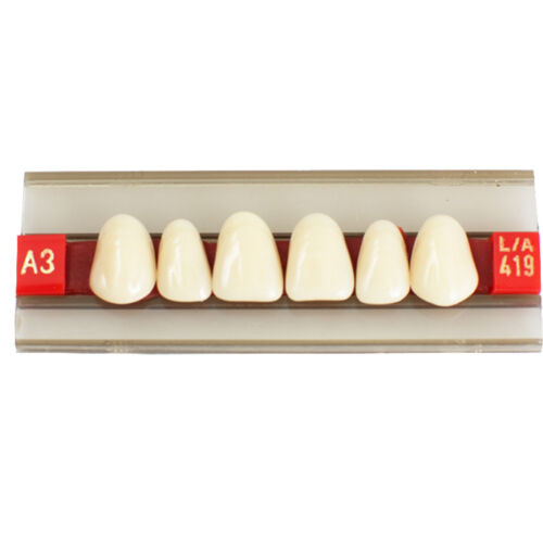 Shade Teeth A3 Acrylic Resin Denture | Shopee Malaysia