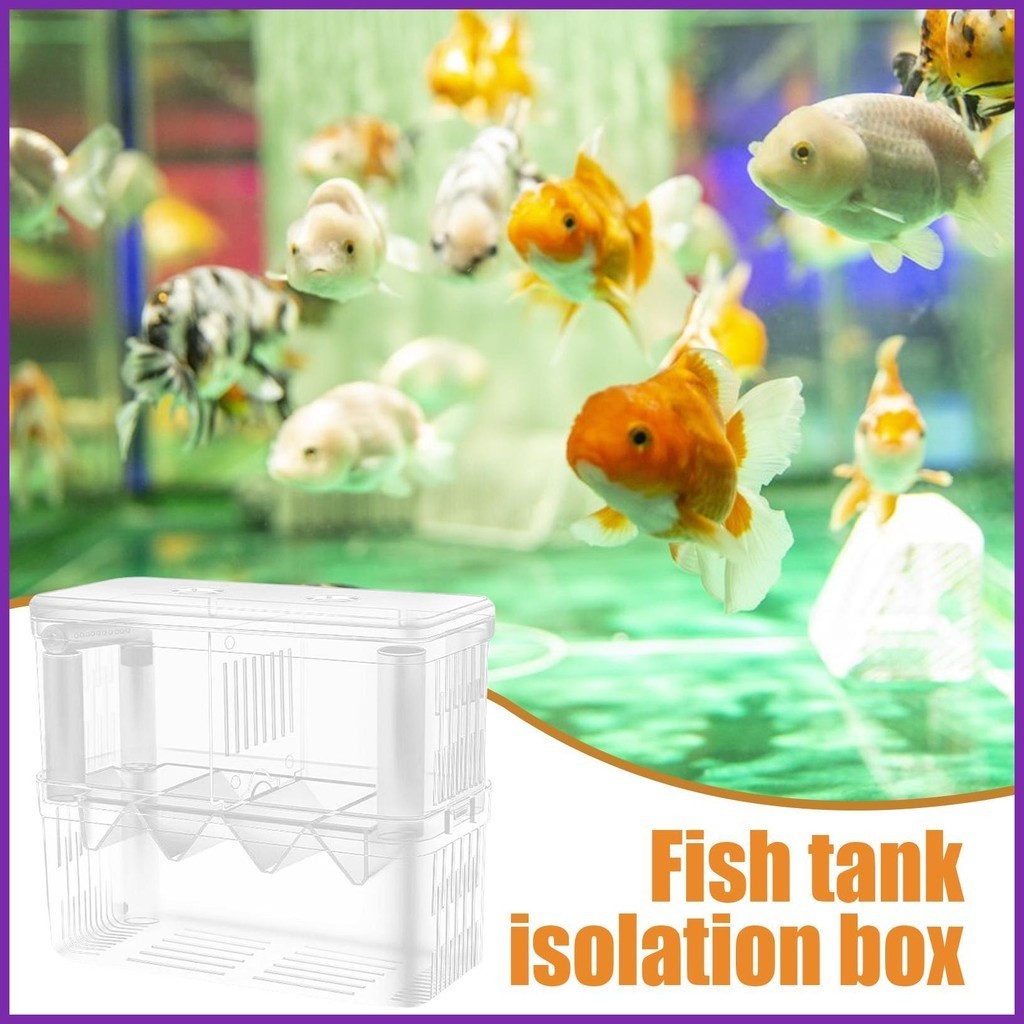 Fish Isolation Box Double-Layer Fish Tank Breeding Tank Hatching ...