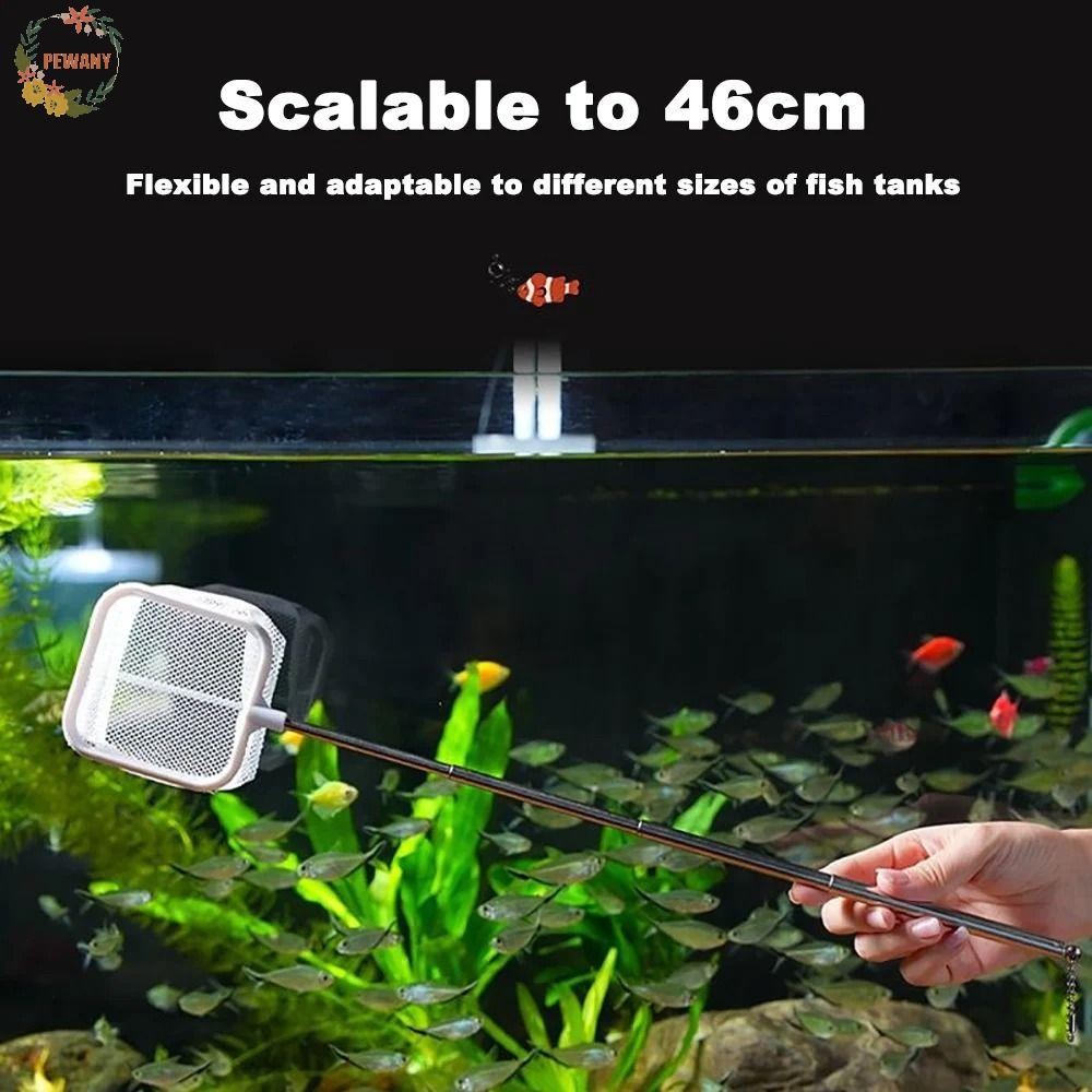 PEWANY Aquarium Square Fishing Net, Stainless Steel Long Handle Fishing ...