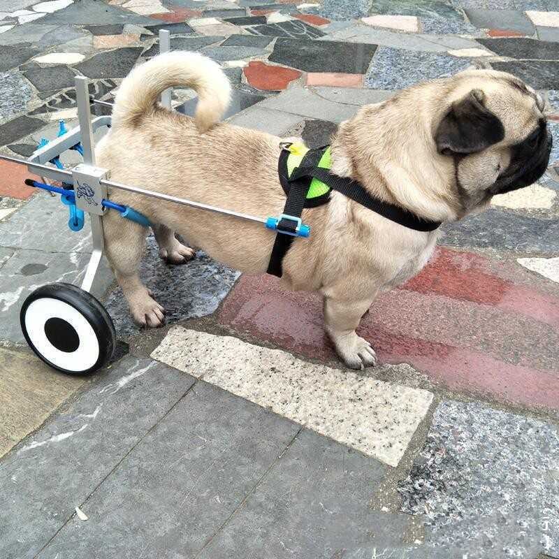 Dog Wheelchair Pet Auxiliary Car Dog Cat Rear Limb Handicapped ...