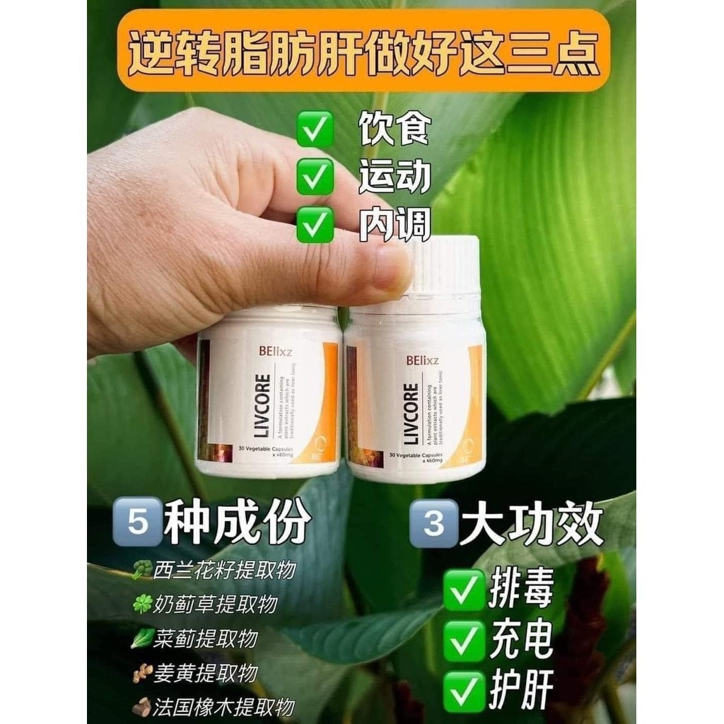Livcore护肝保健品 Protect Liver Health | Shopee Malaysia
