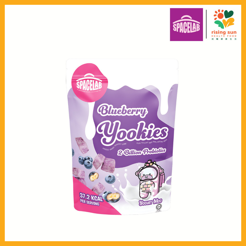 Space Lab Freeze Dried Yogurt Cube - Blueberry Yookies 19g | Shopee ...