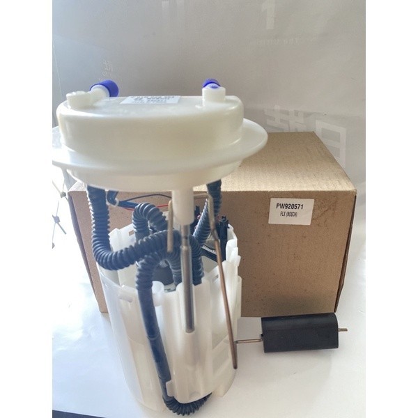 Bosch Premium Quality High Pressure Electronic Fuel Pump PW920571 ...