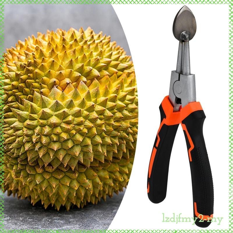 [LzdjfmydcMY] Fruit Opening Tool Hand Tool Durian Open Multiuse Melon ...