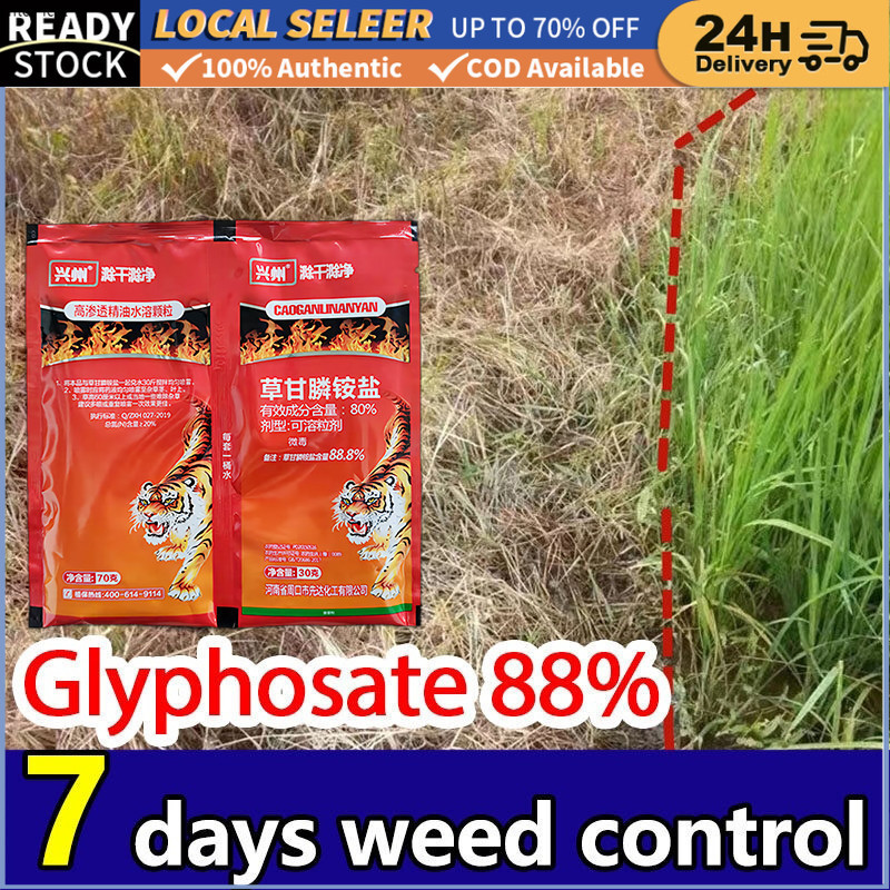 Weed killer 100g 88% glyphosate herbicide root rot Weed killer powder ...