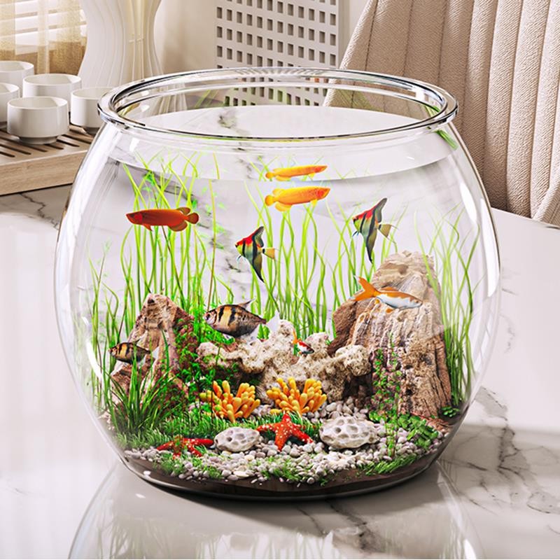 Tangki Ikan Kecil Plastik Bulat Ruang Tamu Kecil Tiruan Kaca Satu ...