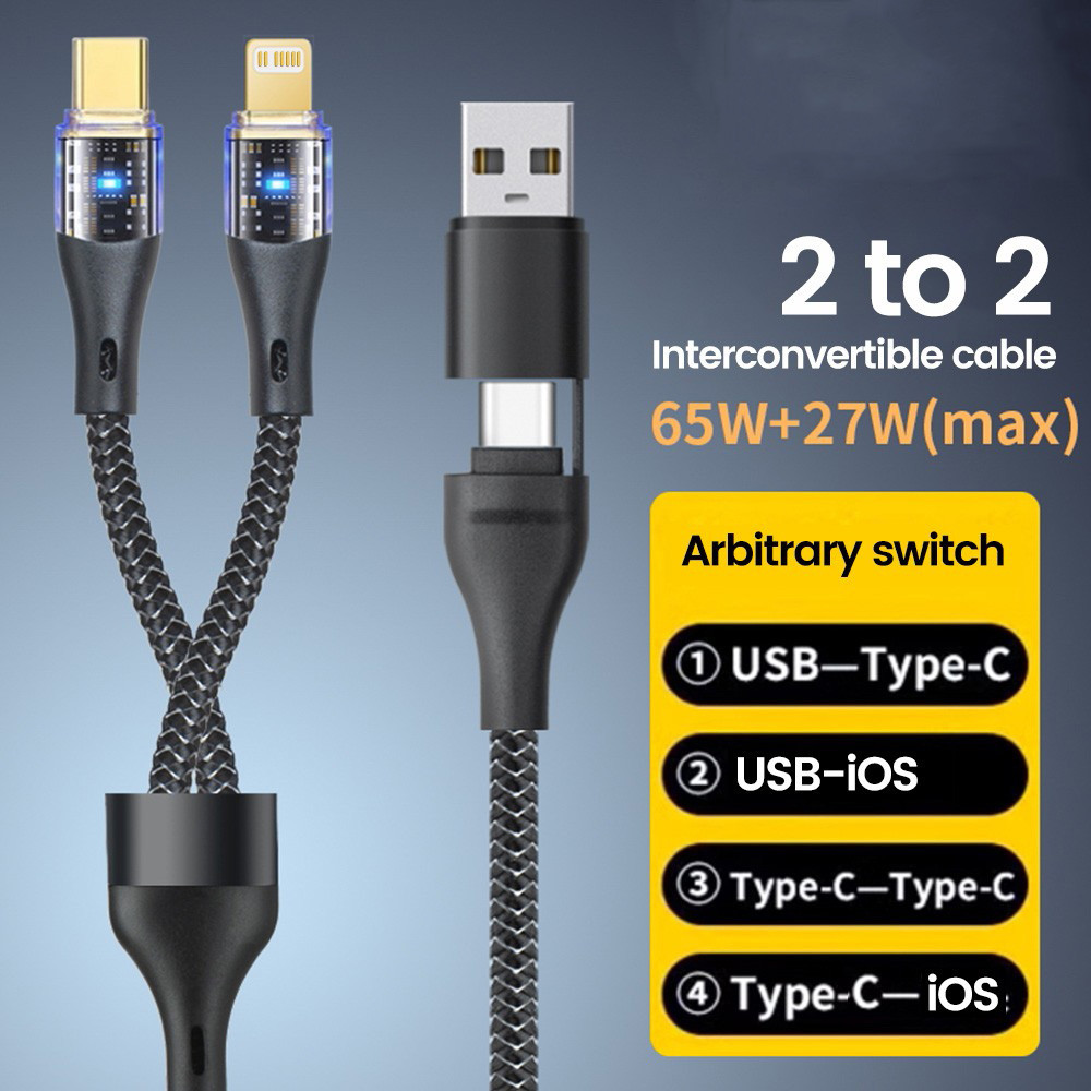 Elough 2 to 2 Multi Ports PD65W Type C to Type C Super Fast Charging ...