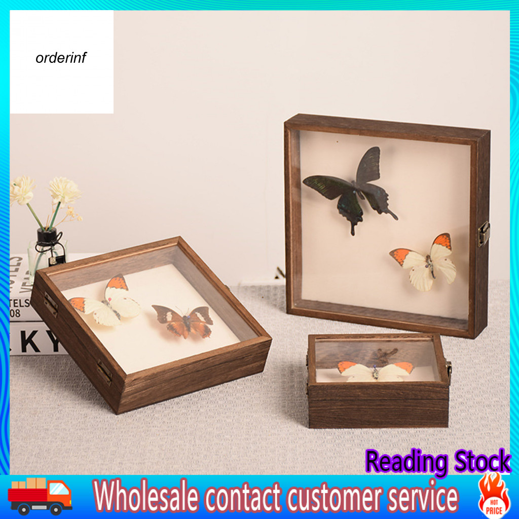 OR_ Wooden Display Case Large Wooden Insect Display Case High-quality ...