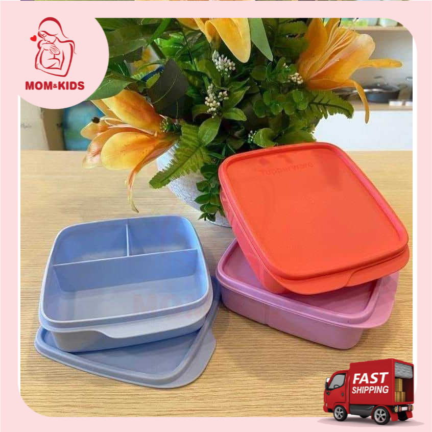 Tupperware 550ml Lollitup Bekas Viral Kanak Budak Lunch Box Bento ...