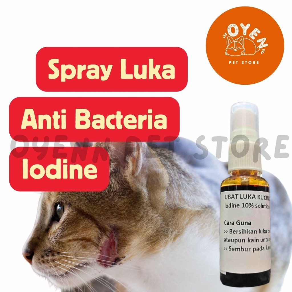 OYENN Ubat Luka Kucing Wound Spray for Cat Dog Kurap Fungus Sporo 30ml ...