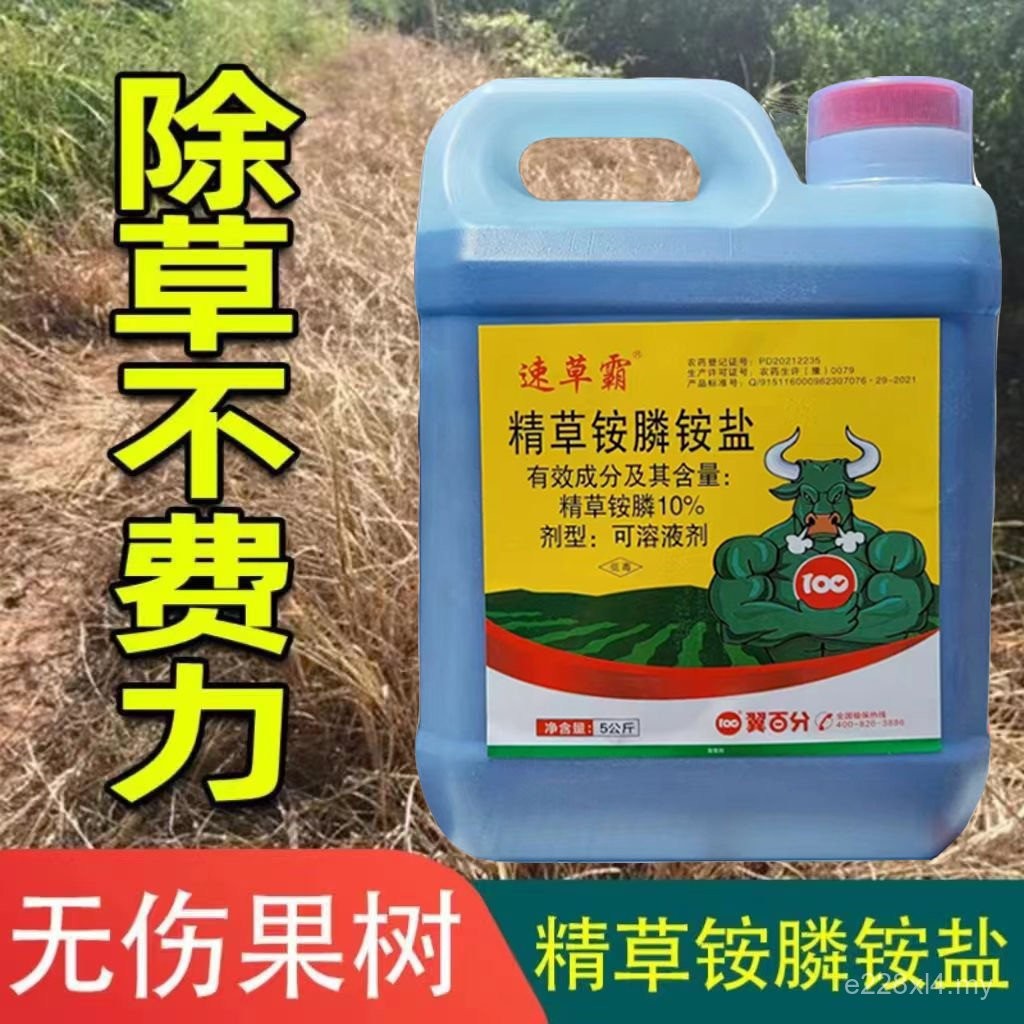 Penguasa Rumput Pantas Ammonium Fosfat Ammonium Garam Amine Tulen ...