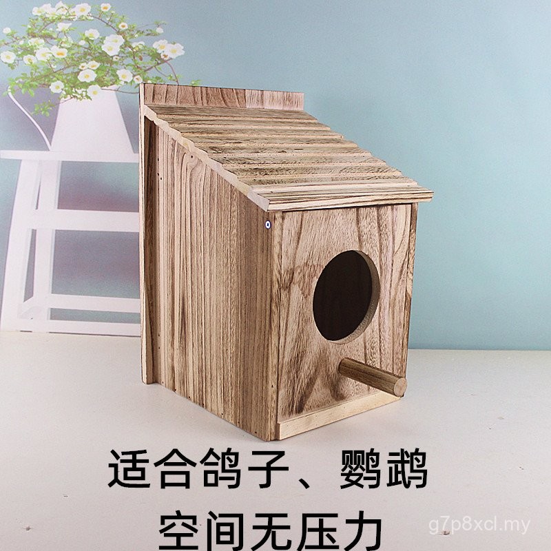 Sarang Merpati Kotak Pembiakan Burung Nuri Kayu Pejal Tebal Rumah ...