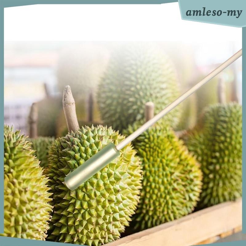 [AmlesoMY] Durian Ripe Tester, Durian Fruit Testing Stick, Ripe Durian ...