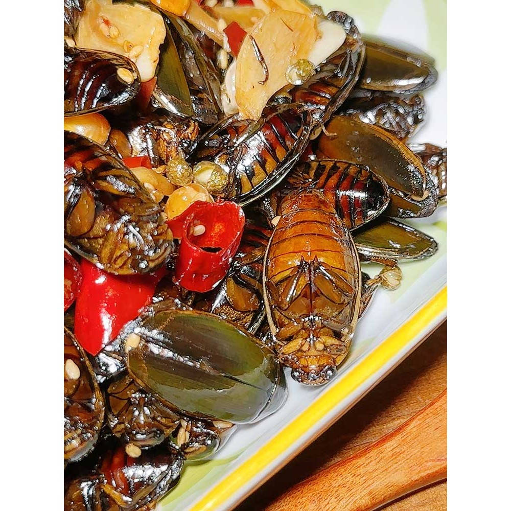 Makanan cacing ciri timur laut Little Phnom Penh Dragon Kutu goreng ...