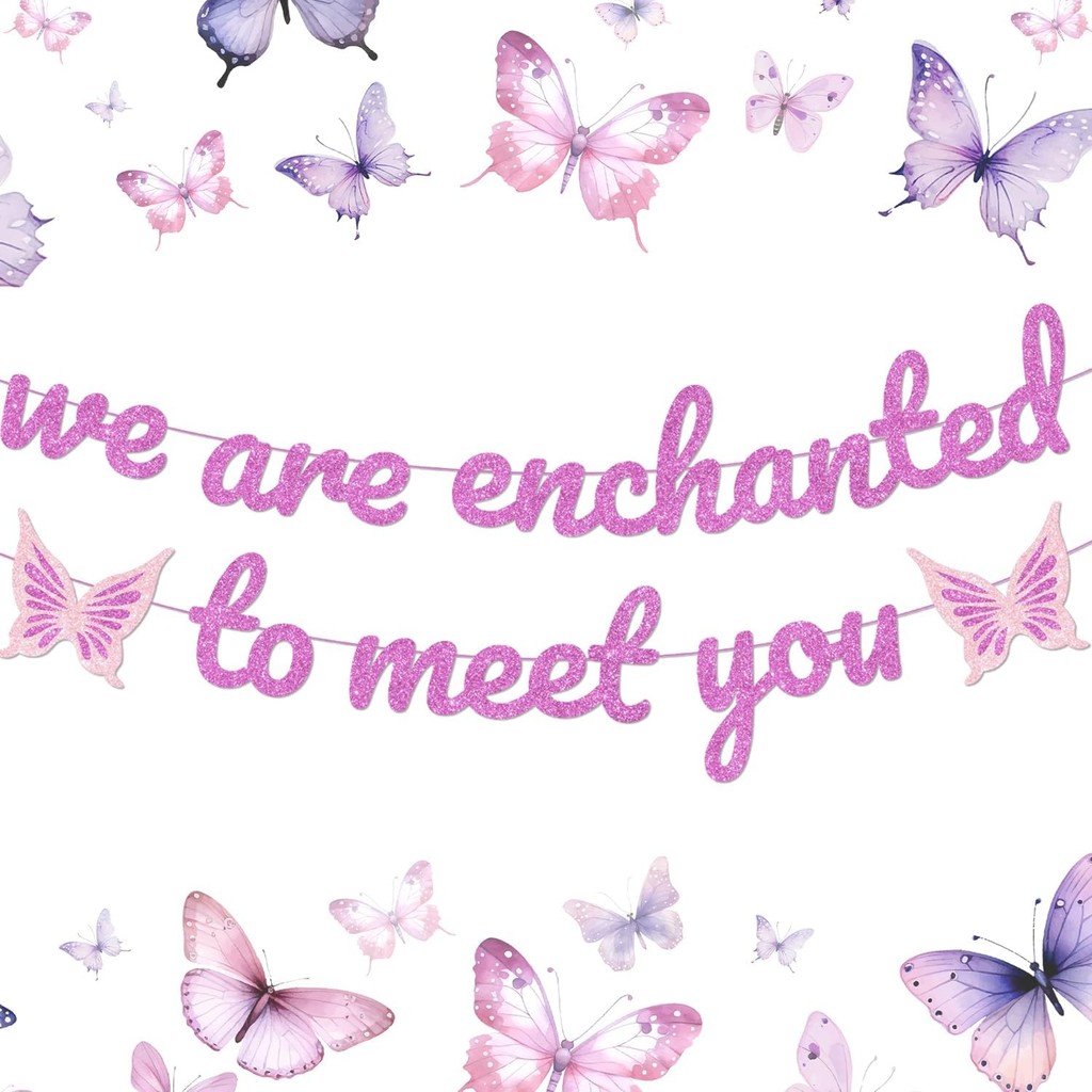 We Are Enchanted to Meet You Banner Pink Purple Glittery Butterfly ...