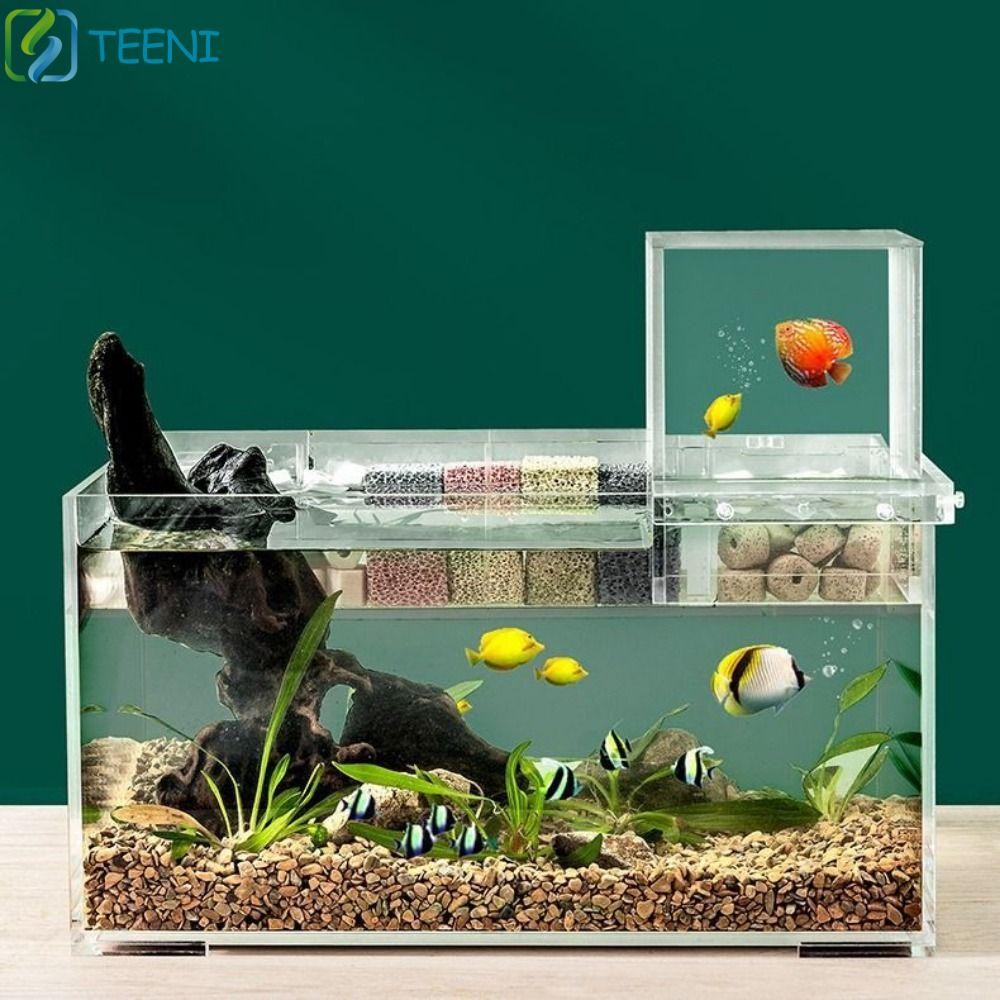 TEENI Negative Pressure Fish Tank, Landscaping Easy to Install Acrylic ...