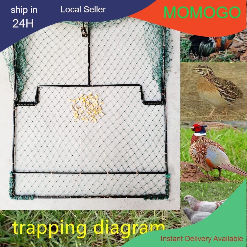 Bird Starling Catching Net Traps 70CM *80CM Metal Chicken Traps Orchard ...