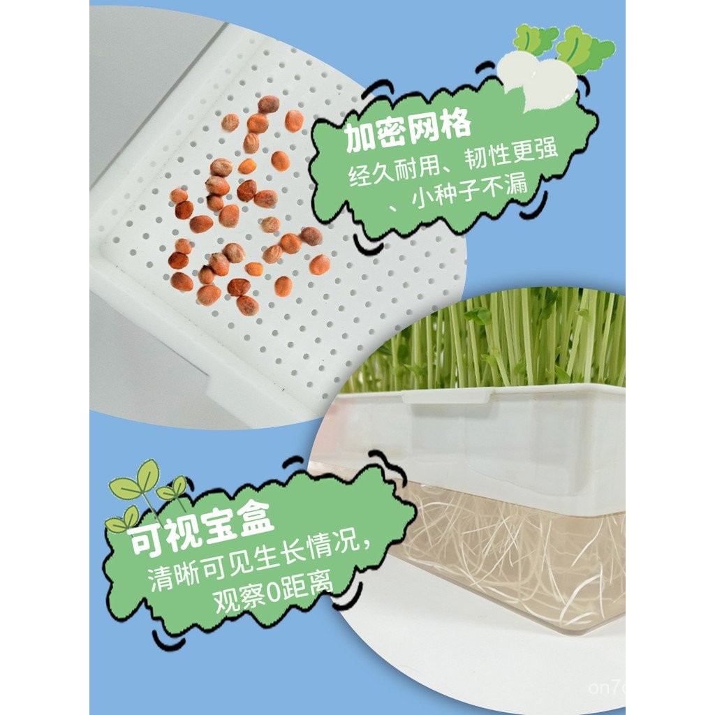 Ingenious Bloom Mini World Hydroponic Vegetable Seeds Pea Seeds Quick ...