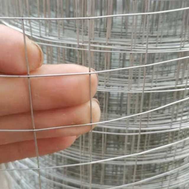 Pagar Wire Mesh untuk Pembiakan i-Net Jagung Bulatan Jaring Bebiri ...