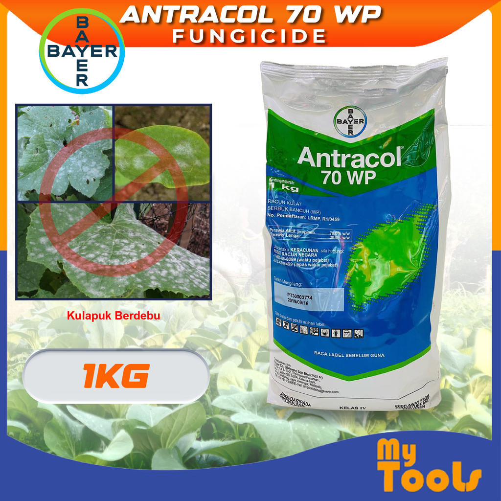 Mytools 1kg BAYER ANTRACOL 70WP | Propineb 70% | Fungicide | Racun ...