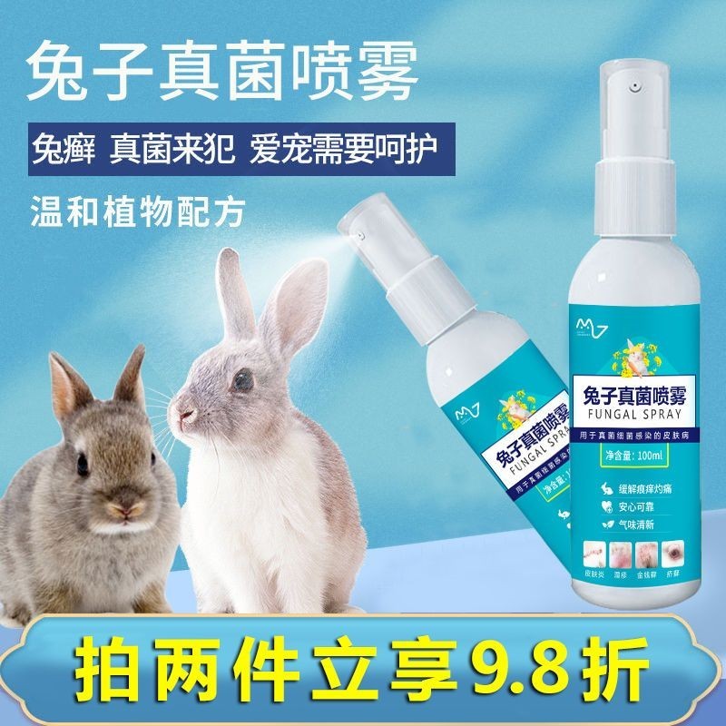 Rabbit fungal infection spray to eliminate rabbit ringworm m rabbit ...