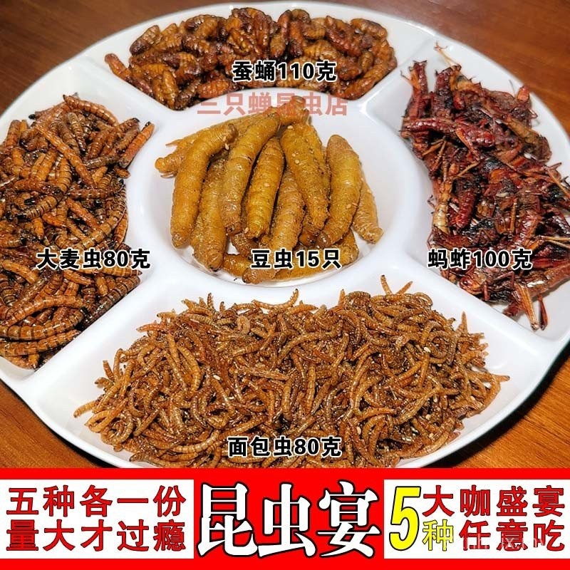 Pepijat Goreng Yunnan Pepijat Belalang Goreng Pepijat Kacang Ulat ...