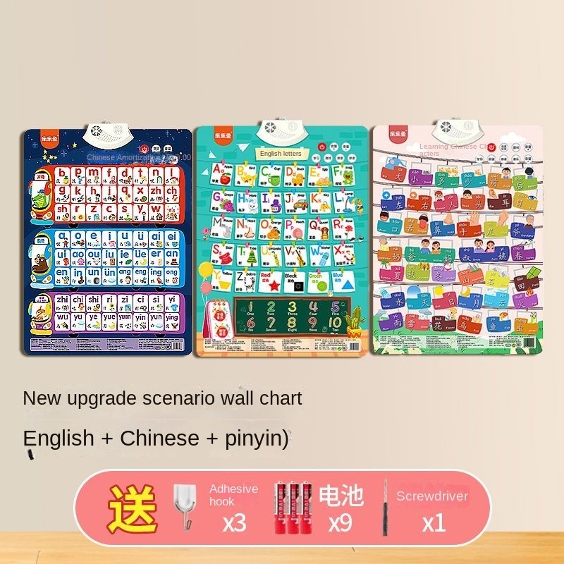 Chinese Pinyin Fantastic Product for Study Training Consonant Vowel ...