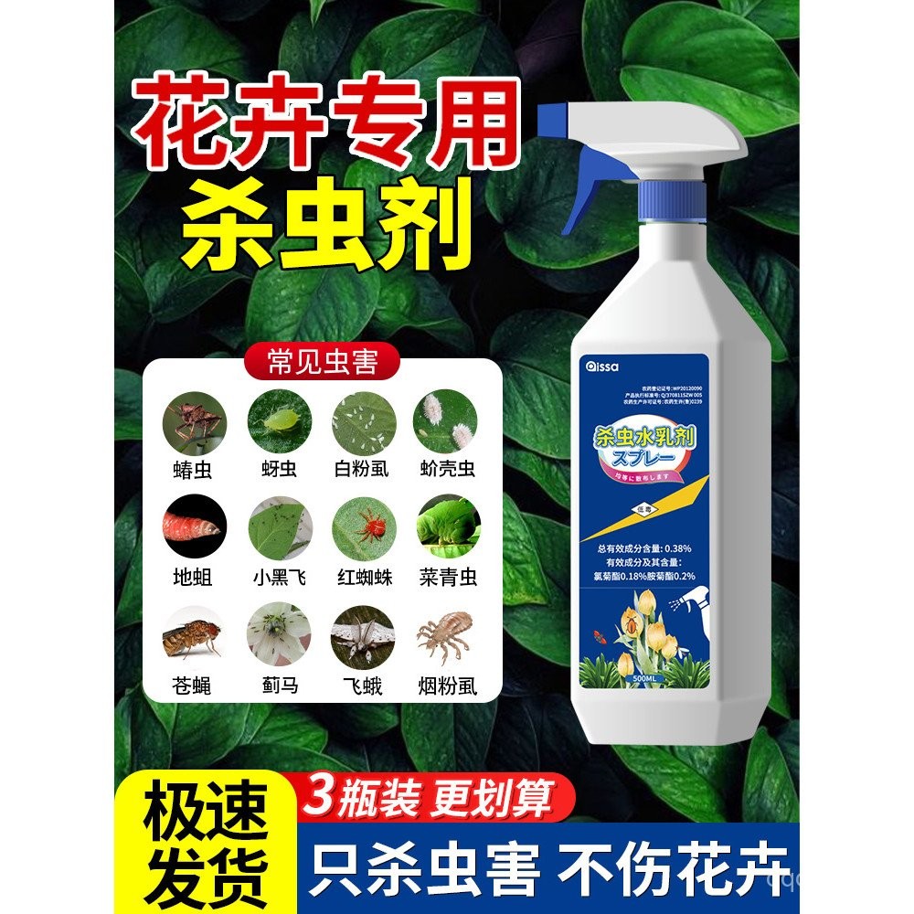 Insecticide Flower Plants Rose Flower Disease Insecticides Commonly ...