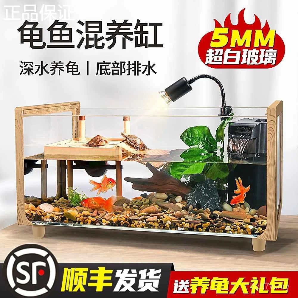 Tangki Penyu Bijian Kayu Ultra Jelas Platform Berjemur Landskap ...