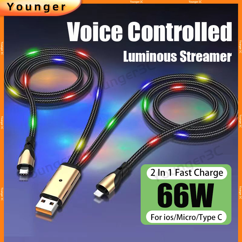 66W 2 In 1 Voice Controlled Luminous Streamer Cable For ios Type C ...