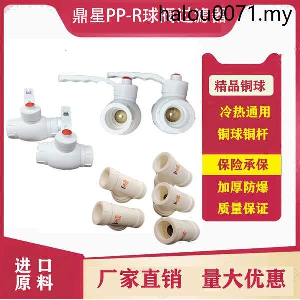 Premium Home Install PPR Water Pipe Fittings PPR Filter PPR Steel Ball ...