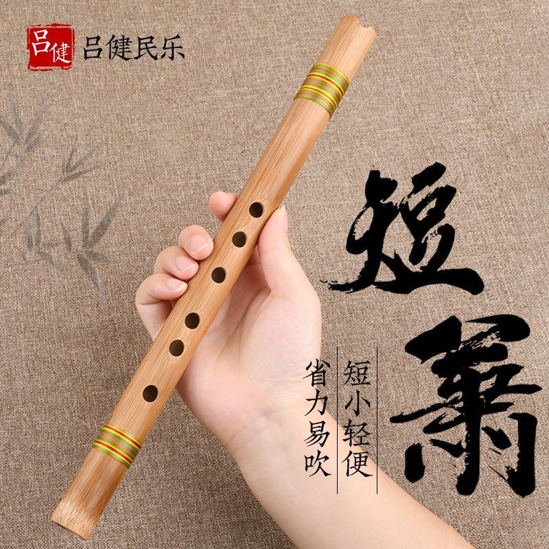 Flute Musical Instruments Beginners Beginners Introductory Purple ...
