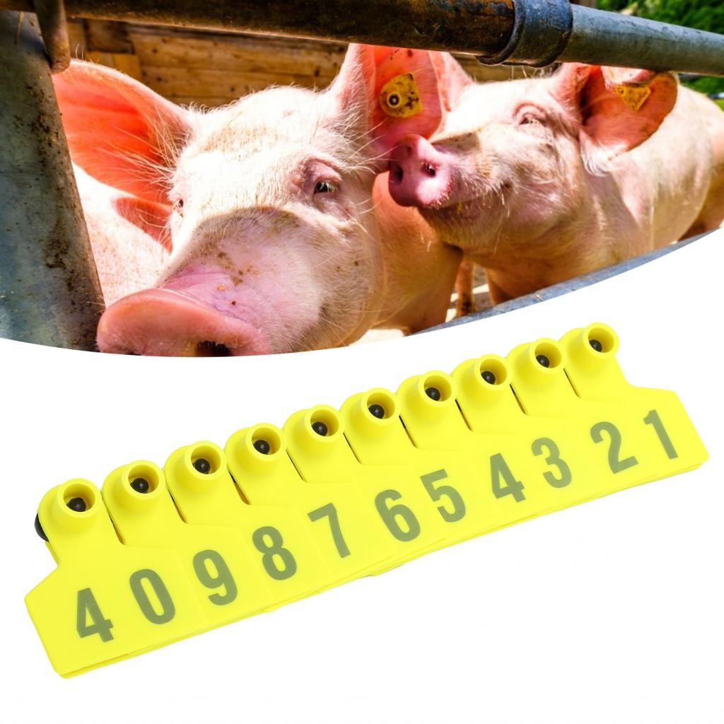 Dioo Livestock Ear Tag Labels Large Number Identification Poultry ...