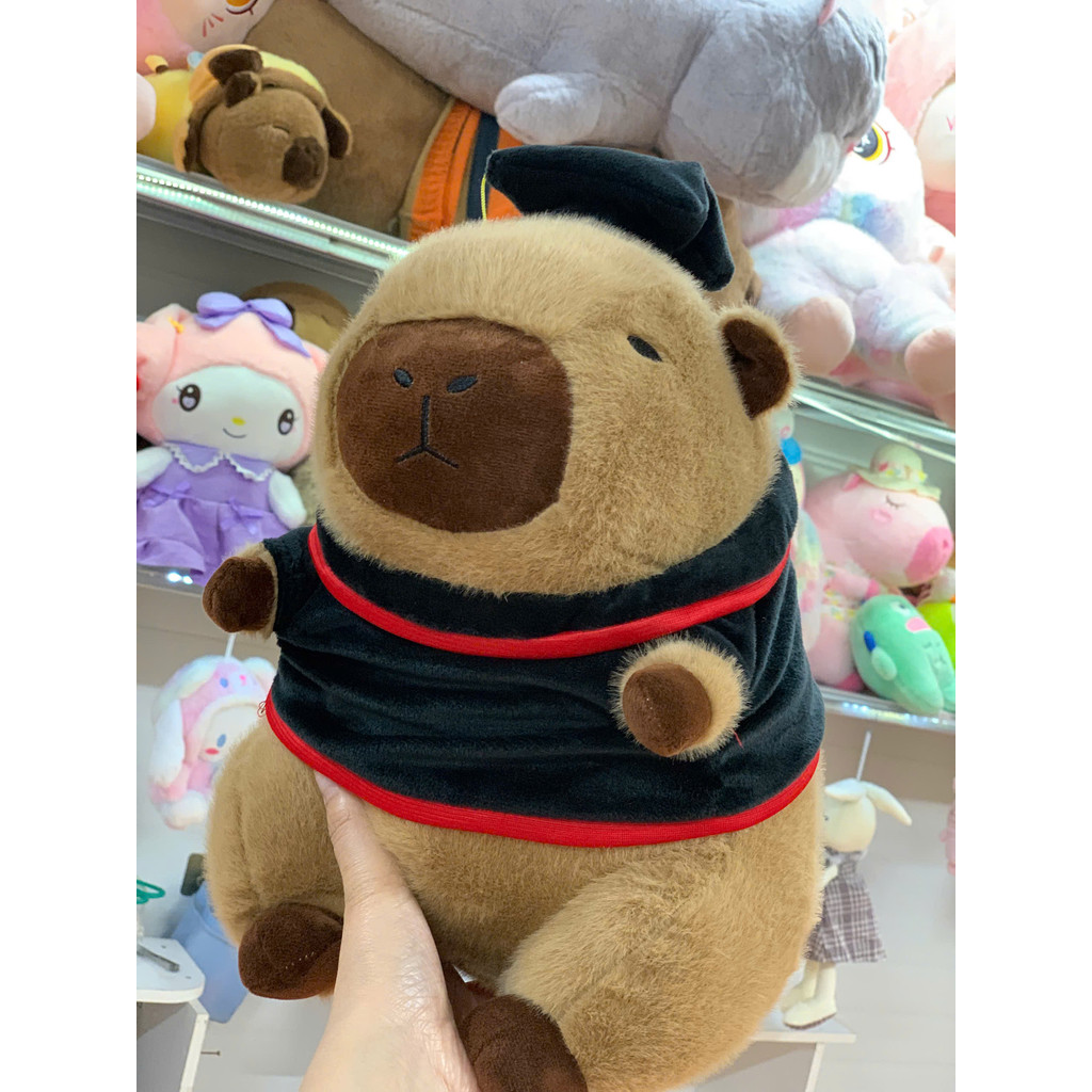 Capybara graduation teddy bear, premium soft bachelor bear stuffed ...