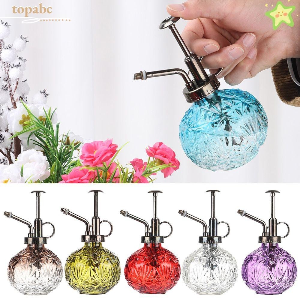 TOPABC Glass Spray Bottle Irrigation Plant Flower Gardening Watering ...