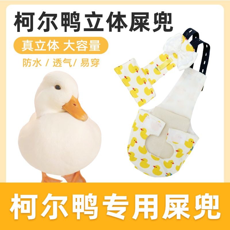 Pets Cole duck Straw Diapers Internet celebrity duck diape Pet Cole ...