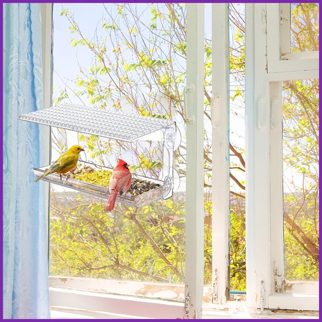 Window Bird Feeder for Viewing Outdoor Bird Feeders Wild Bird Watching ...