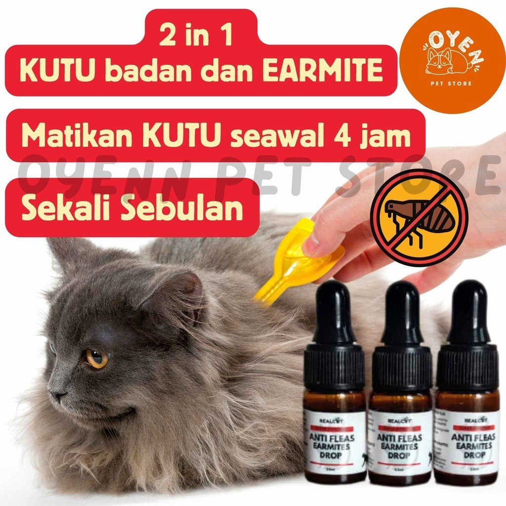OYENN Ubat Kutu Kucing Earmite Ear Mite Treatment for Cat Dog (2ml ...