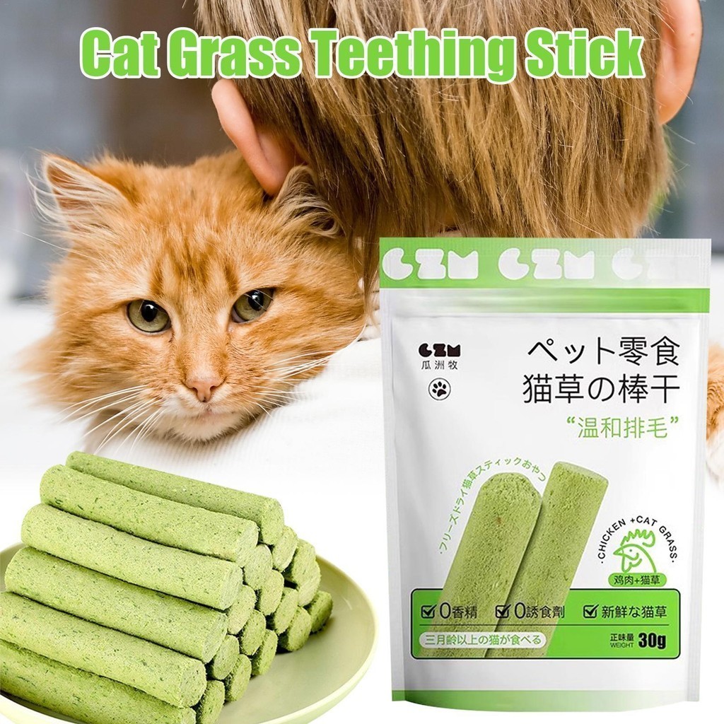 10pcs Cat grass stick, cat teeth cleaner, cat teething toys, catnip ...