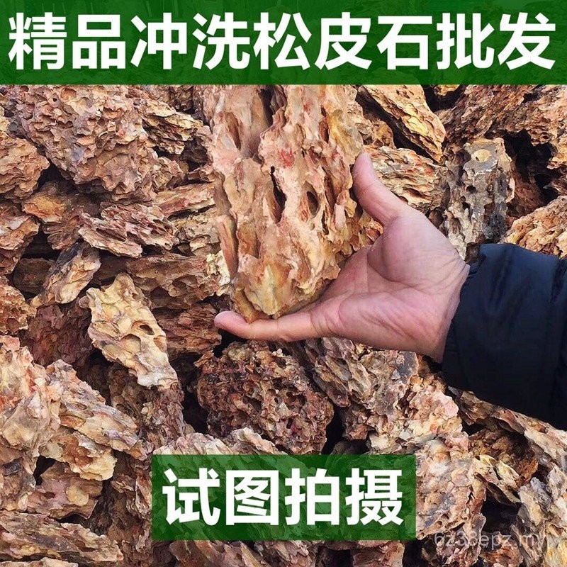 Tangki Ikan Landskap Batu Batu Batu Asli Sekeping Besar Kulit Pine Batu ...