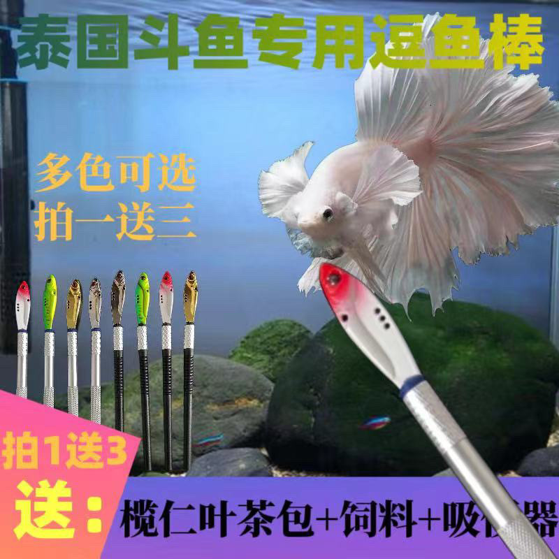 Betta toys fish stick Thai Betta stick training Betta magic weapon ...