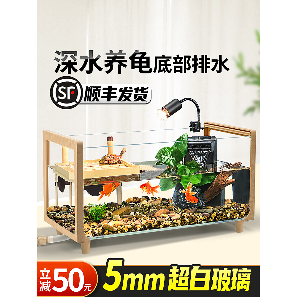 Tangki Penyu Bijian Kayu Ultra Jelas Platform Berjemur Landskap Tangki ...