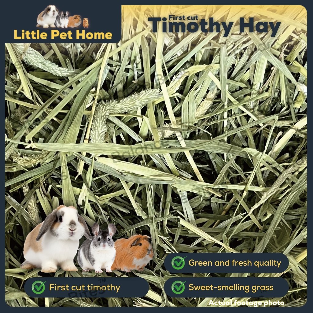 Balance Bites Timothy Hay USA 1KG Fresh Timothy Hay Guinae Pig Rabbit ...